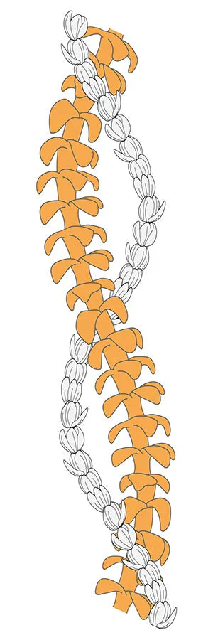 PUAKENIKENI PIKAKE LEI BAMBOO STICKER – Hawaiian Island Creations